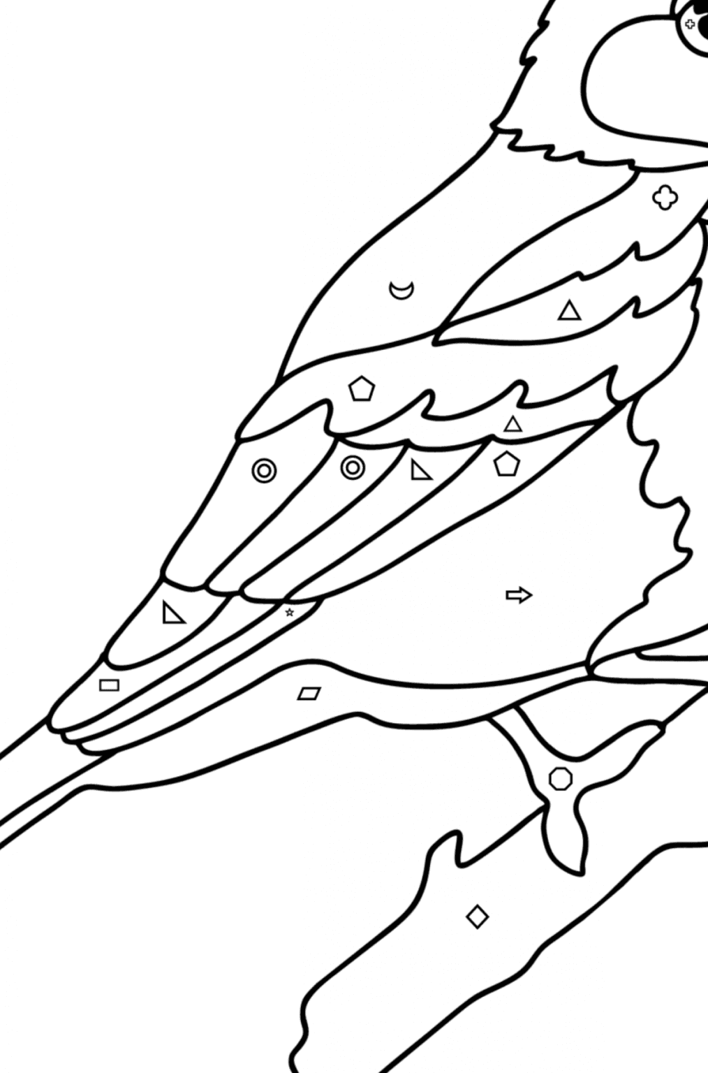 Coloriage Oiseau rouge-gorge ♥ En ligne ou imprimer gratuit