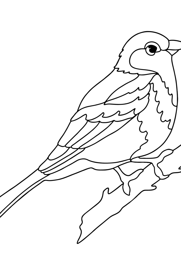 Coloriage Oiseau rouge-gorge ♥ En ligne ou imprimer gratuit