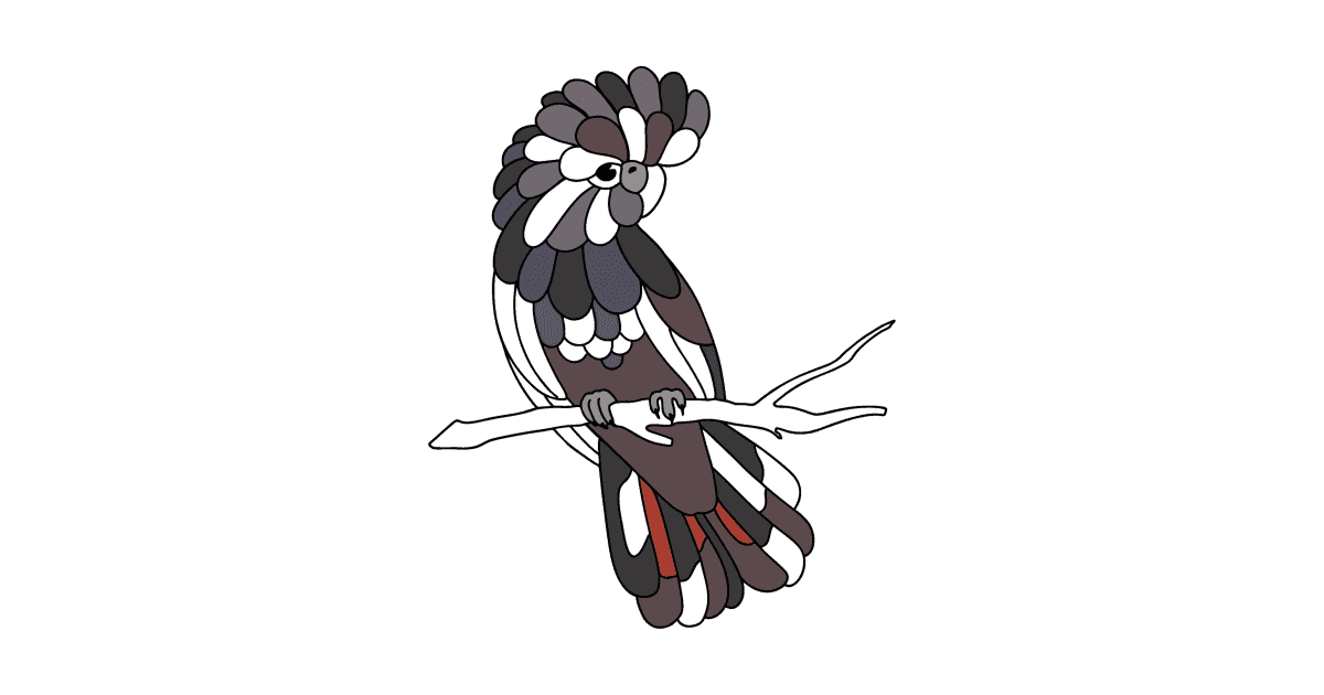 Black Cockatoo сoloring Page ♥ Online And Print For Free