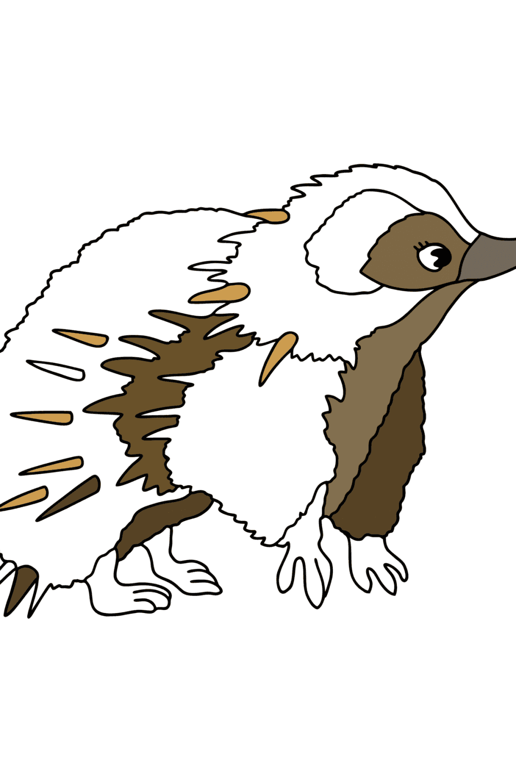 Coloriage Oiseau rouge-gorge ♥ En ligne ou imprimer gratuit