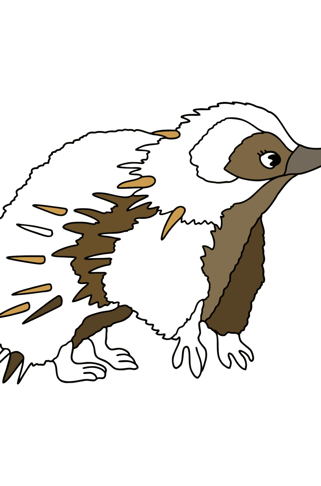 Coloriage Oiseau rouge-gorge ♥ En ligne ou imprimer gratuit