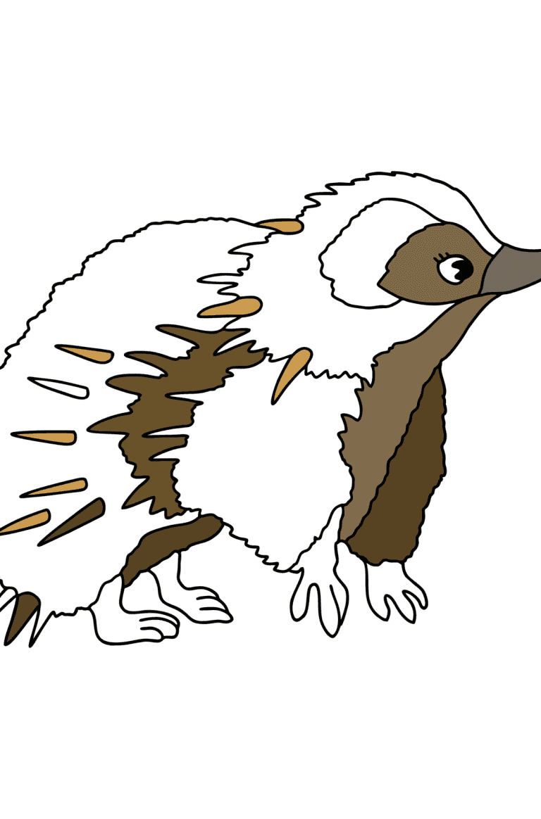 Coloriage Oiseau rouge-gorge ♥ En ligne ou imprimer gratuit