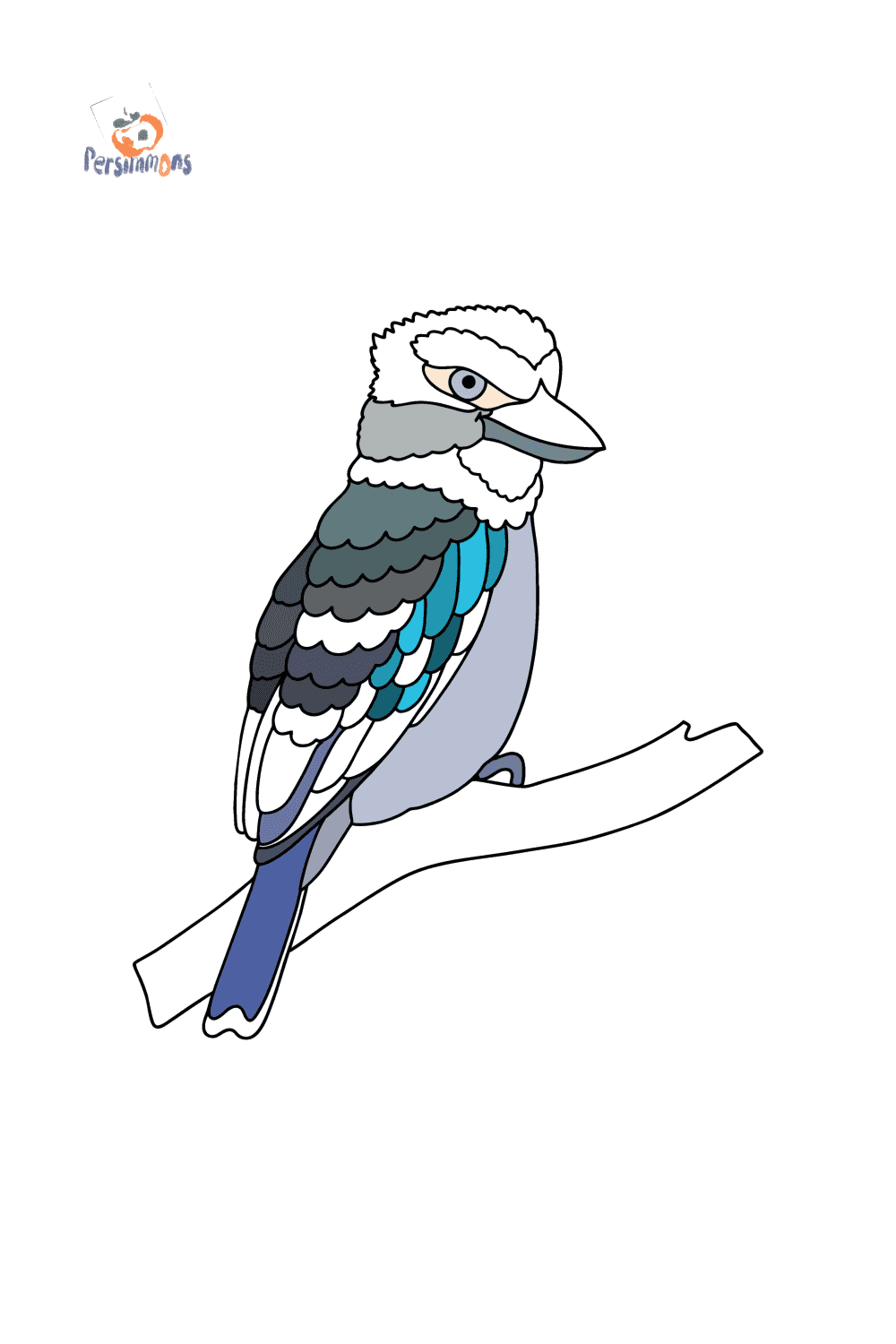 Kookaburra сoloring page ♥ Online and Print for Free!