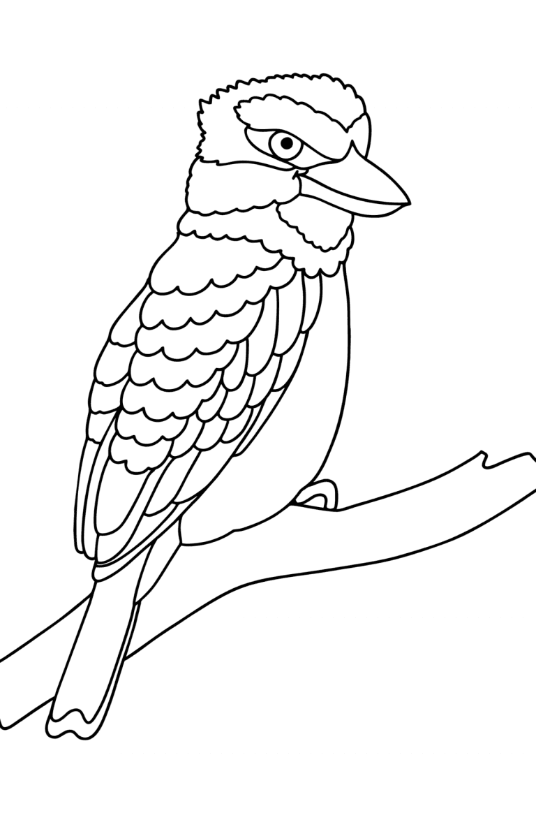 Australian Animals Coloring pages - Download, Print, and Online!