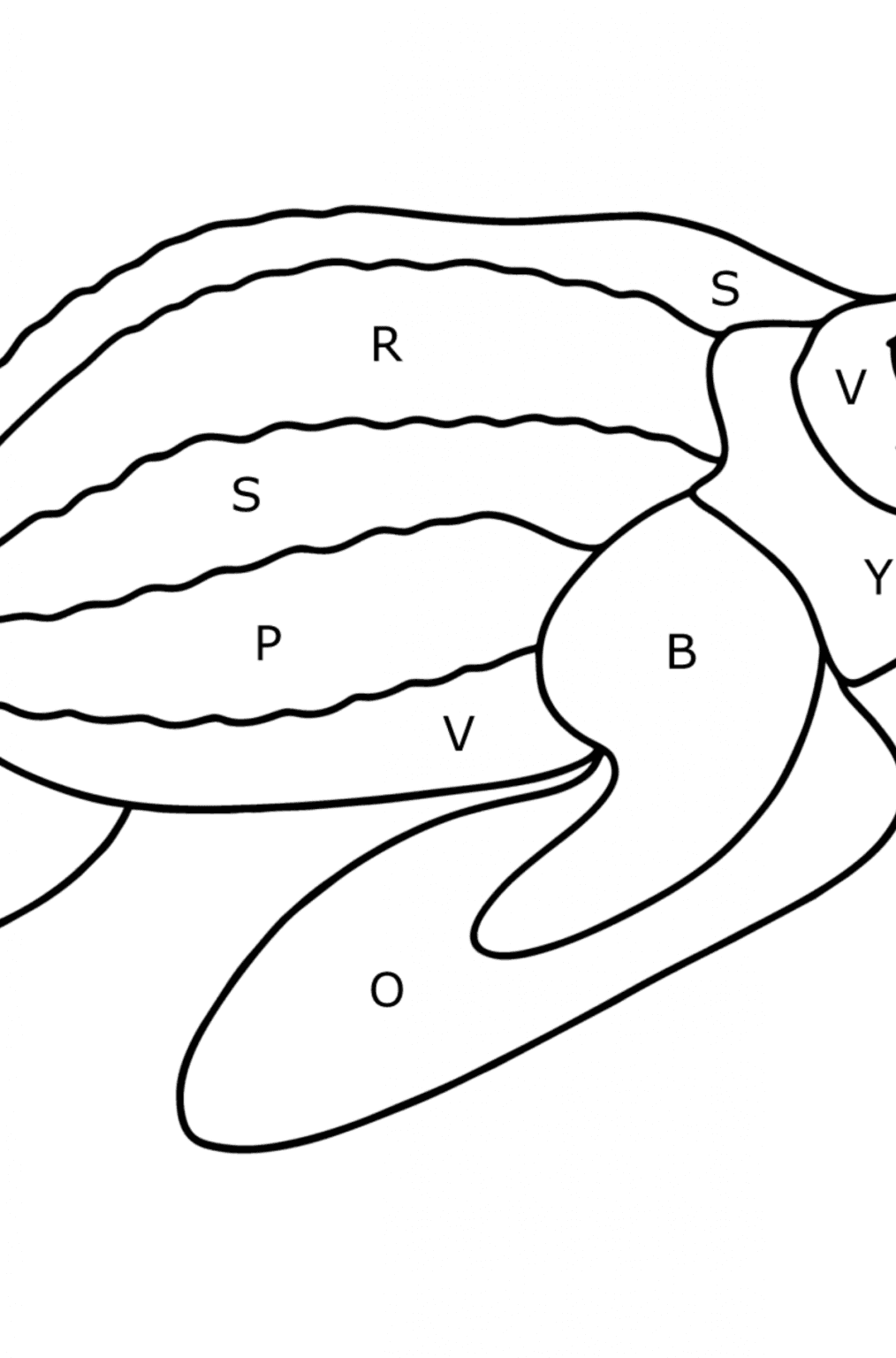 Leatherback turtle сoloring page ♥ Online and Print for Free!