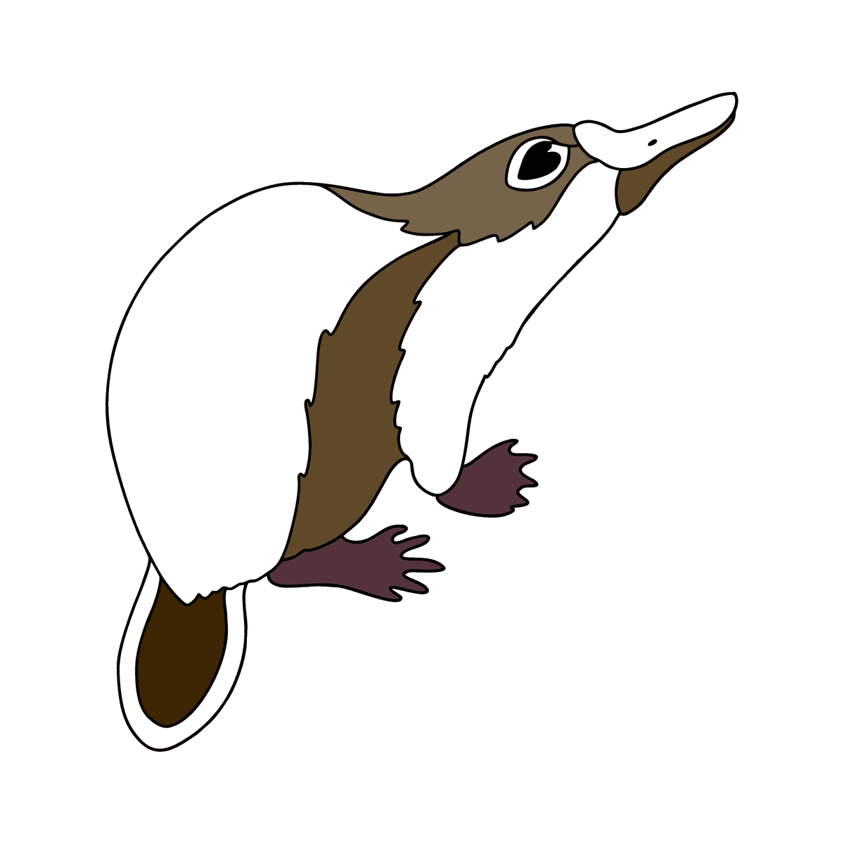 Platypus Australia сoloring page ♥ Online and Print for Free!