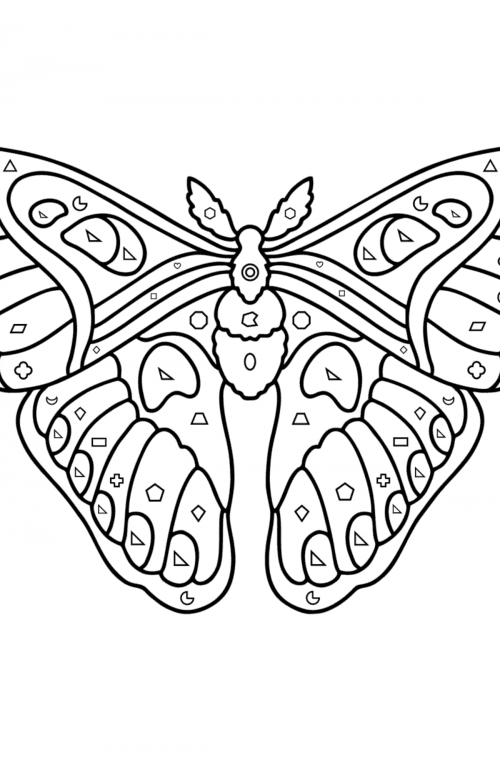 Boyama sayfası Saten kelebek | Coloring-for-Kids.com