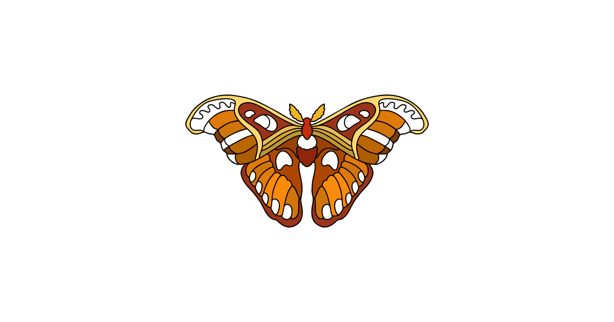 Satin Butterfly сoloring page ♥ Online and Print for Free!