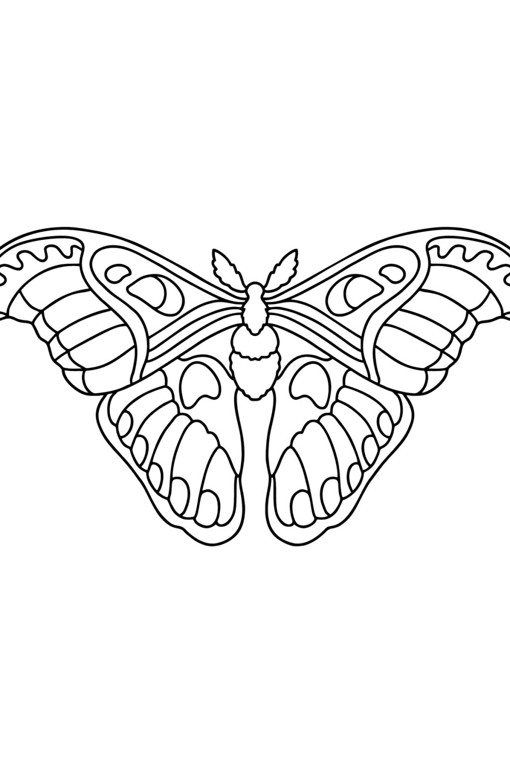 Boyama sayfası Saten kelebek | Coloring-for-Kids.com