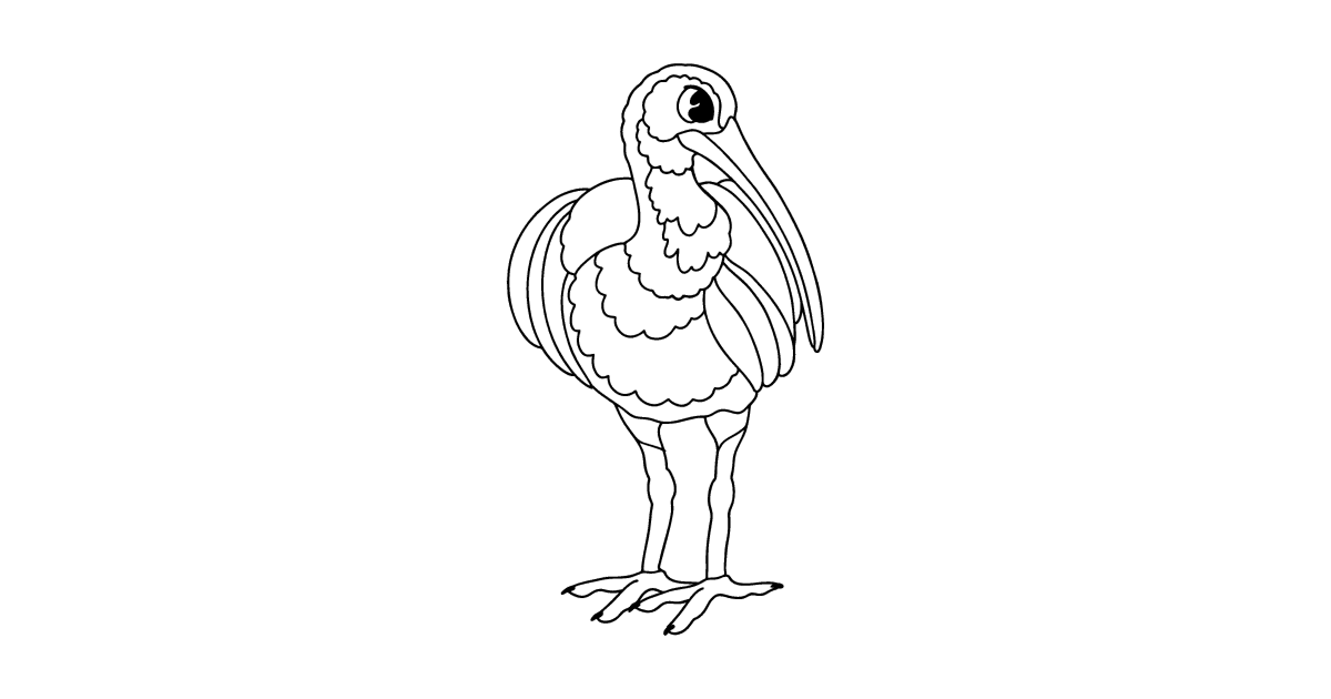 Dibujo Ibis cigüeña para colorear - Imprime y en Línea