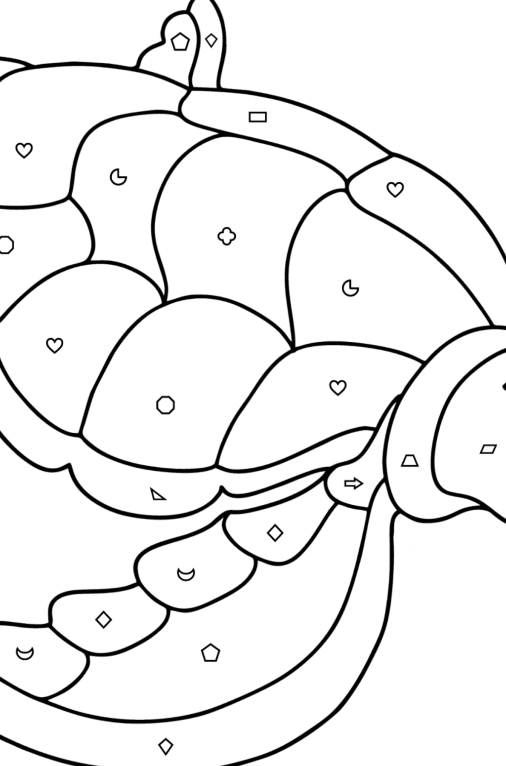 Sea turtle Australia сoloring page ♥ Online and Print for Free!