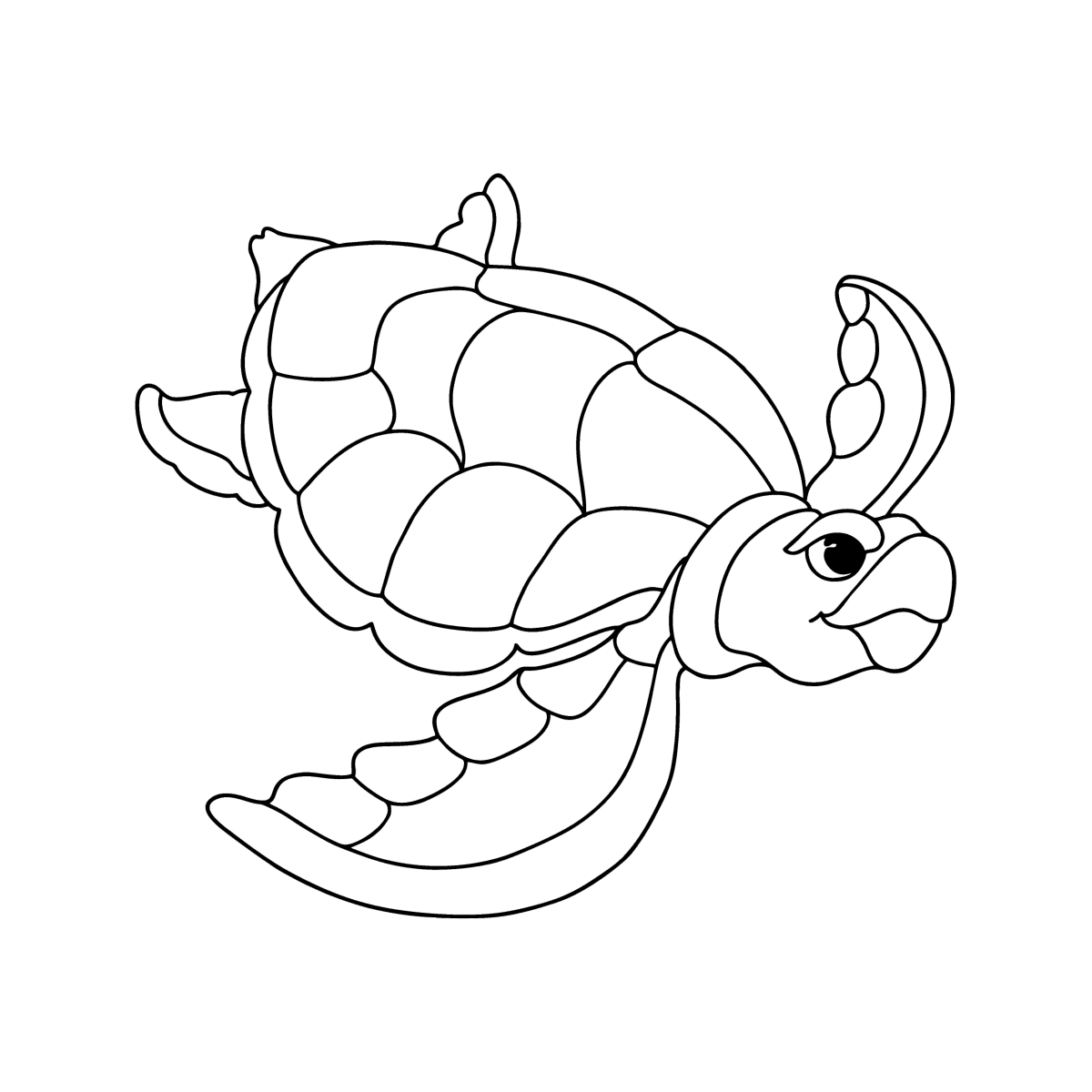 Sea turtle Australia сoloring page ♥ Online and Print for Free!
