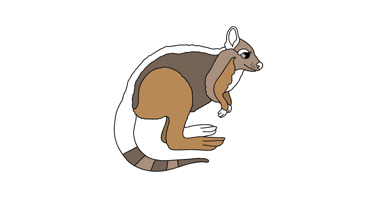 Wallaby kangaroo сoloring page ♥ Online and Print for Free!