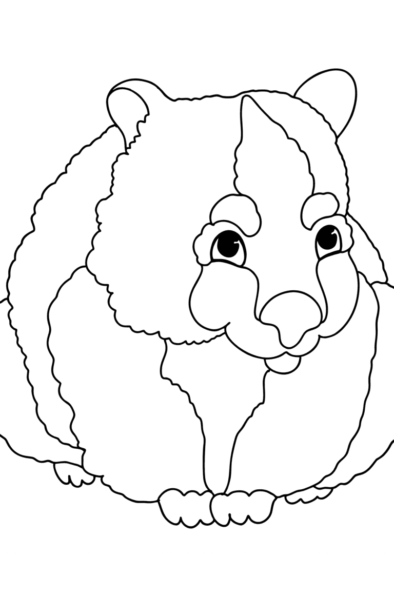 Wombat сoloring page for kids ♥ Online and Print for Free!
