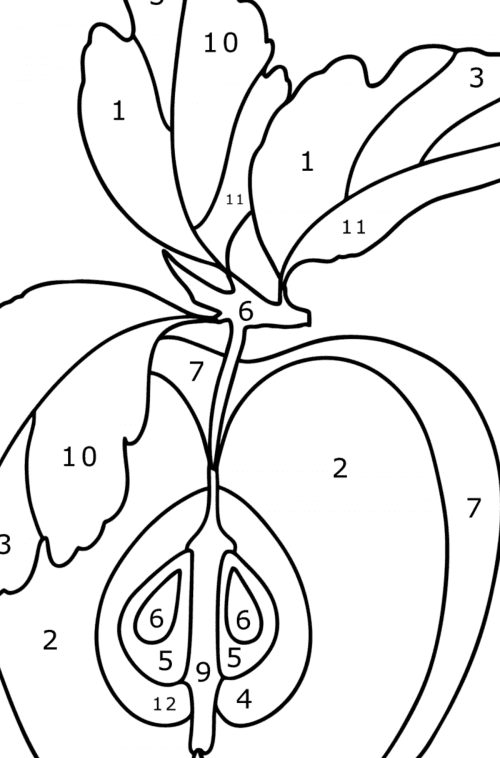 Boyama sayfası Yarım elma ücretsiz | Coloring-for-Kids.com