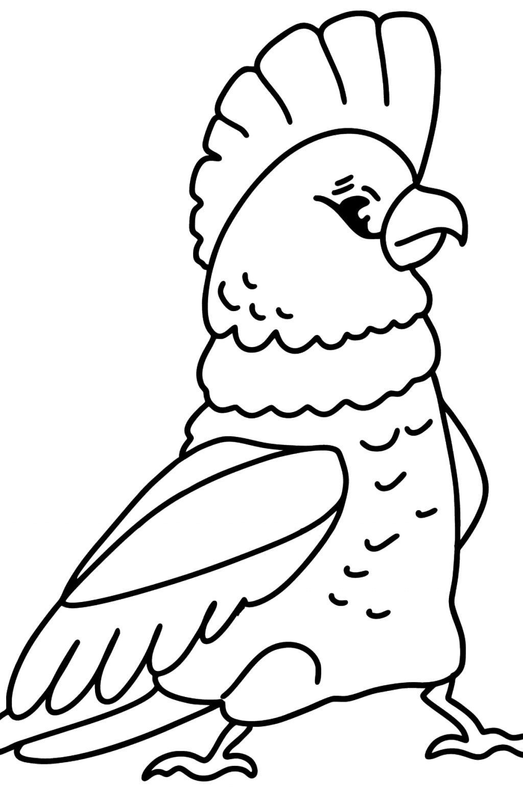 Burung-burung mewarnai gambar - Unduh, cetak, online untuk anak-anak!