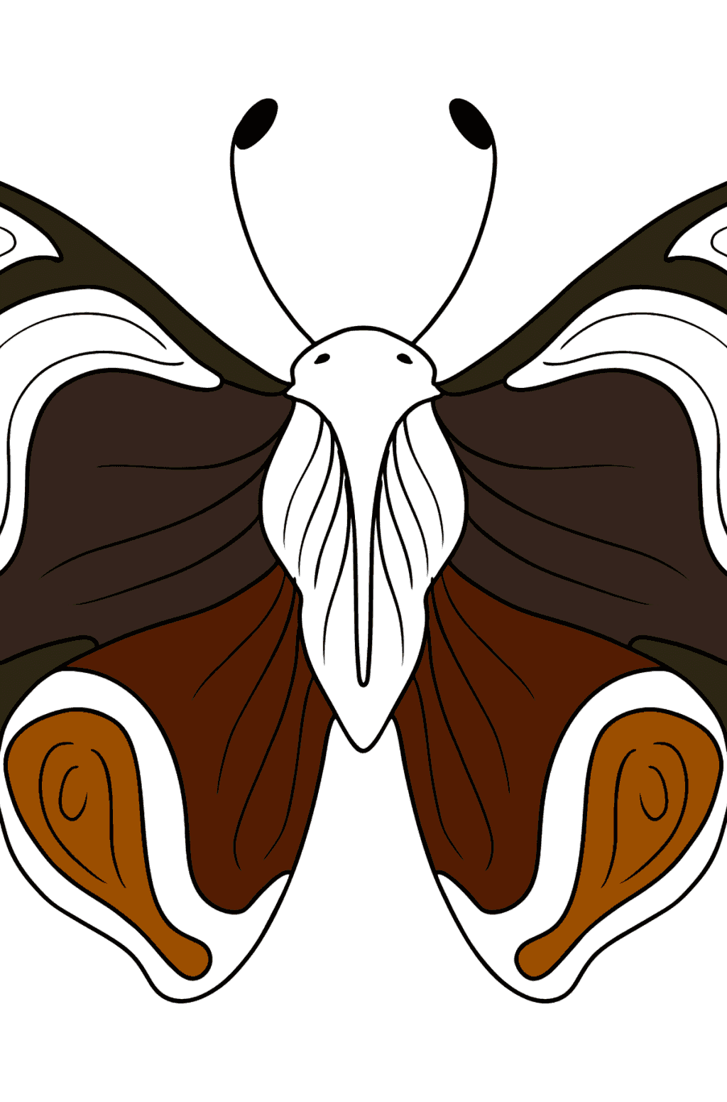 Kolorowanka Motyl Apollo ♥ Drukowanie za Darmo i Online!