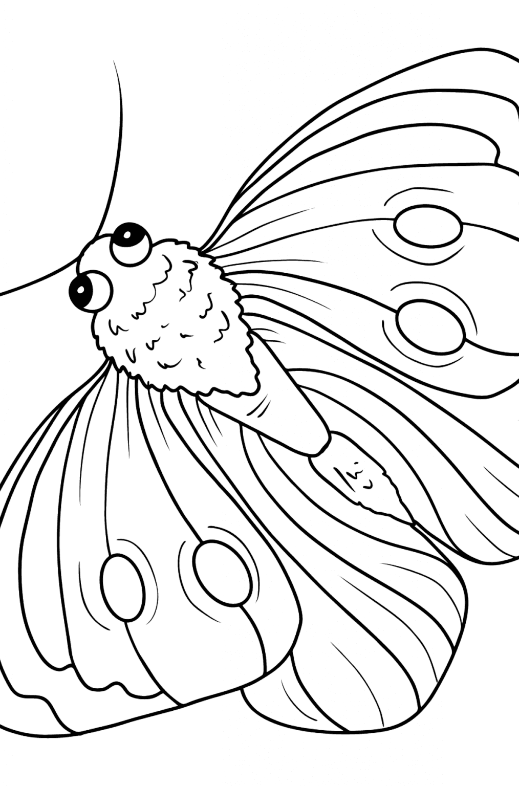 Desene de colorat Fluturi ♥ Descărcați, imprimați, online!