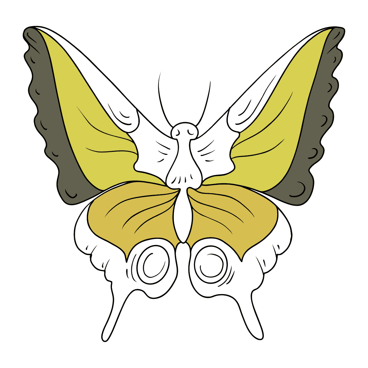 Swallowtail Butterfly coloring page ♥ Print for Free!