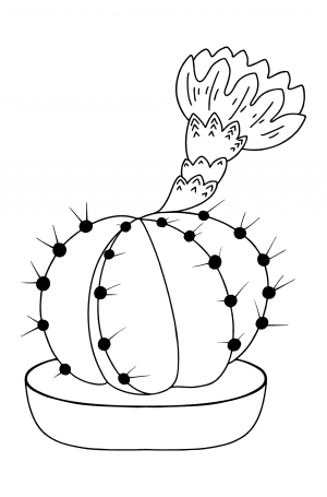 Desene de colorat Cactusi ♥ Descărcați, imprimați, online!