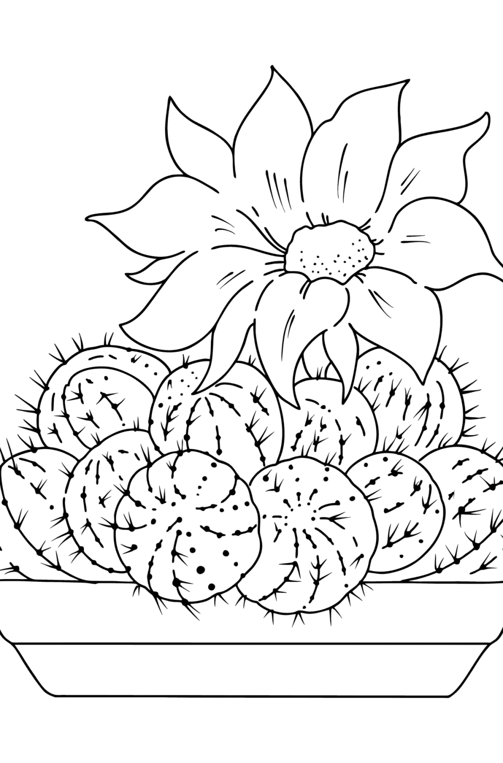 Cactus coloring pages - Download, Print, and Color Online!