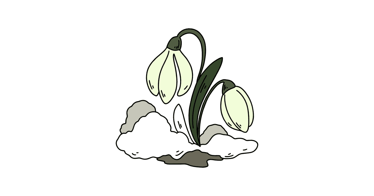 Spring Snowdrops coloring page ♥ Online and Print for Free!