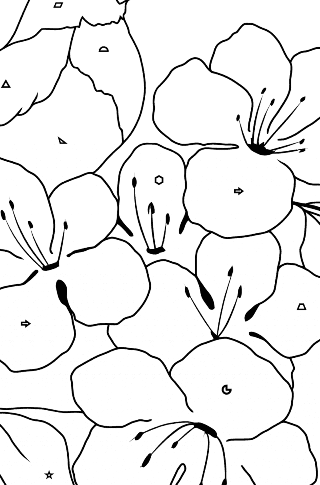 Summer and Birds coloring page ♥ Online and Print for Free!