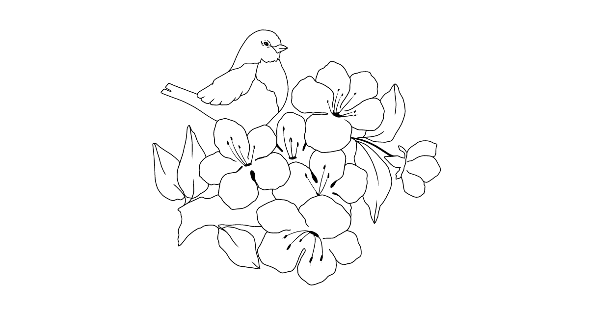 Summer and Birds coloring page ♥ Online and Print for Free!