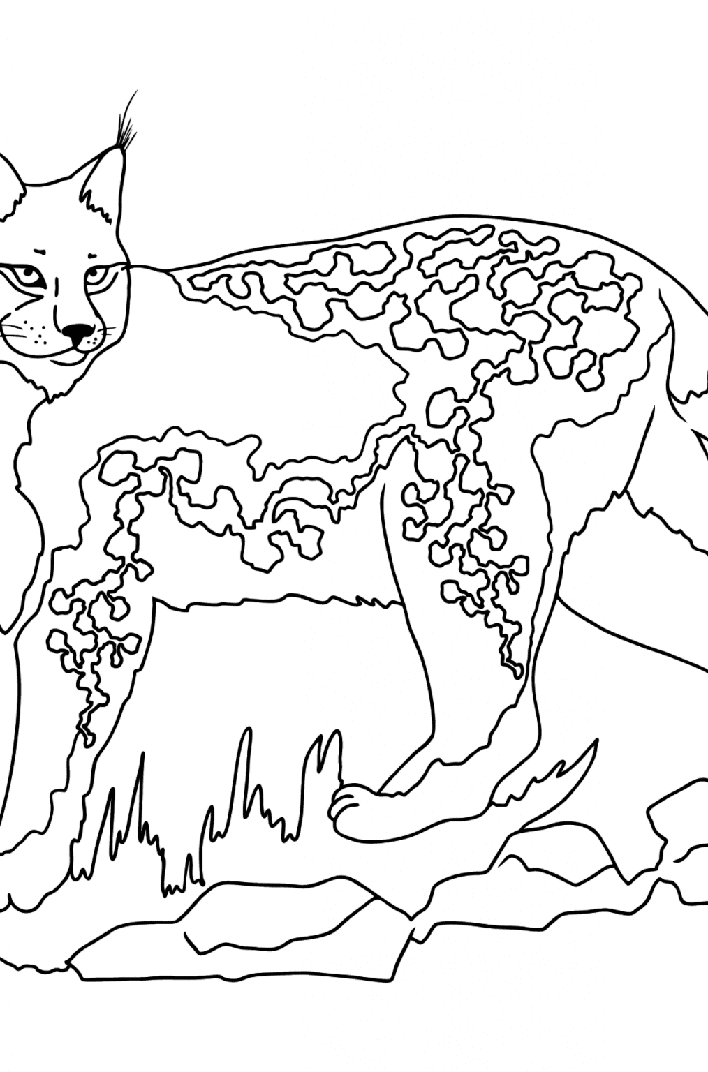 Coloring Page - A Strong Lynx ♥ Online and Print for Free!