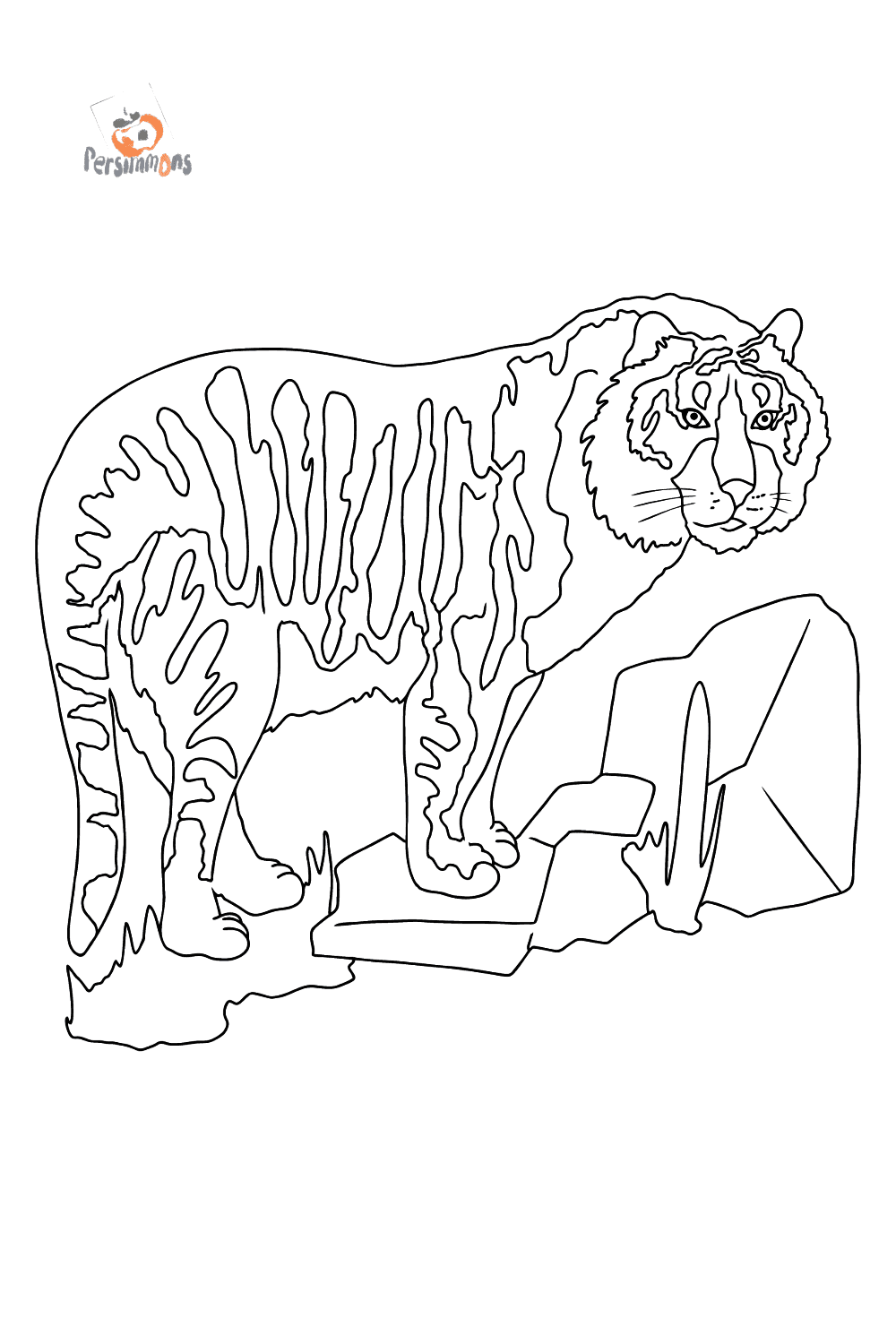 Tegning til farvning tiger (let) ♥ Online og Print gratis!