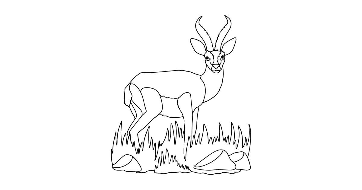 Tibetan Dzeren сoloring page ♥ Online and Print for Free!