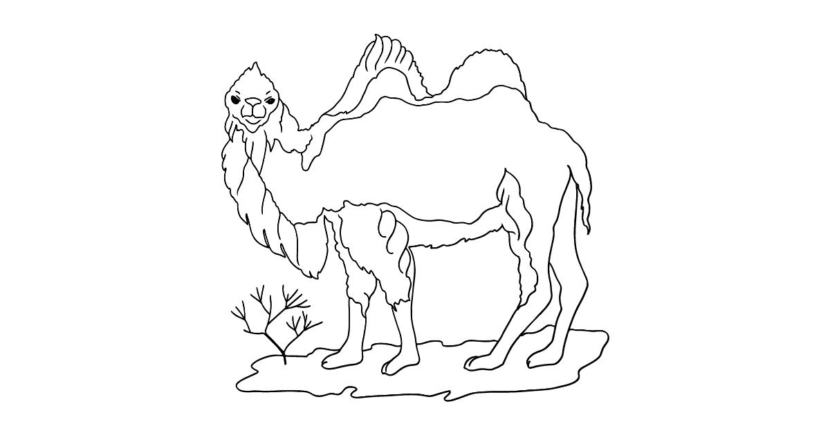 Boyama sayfası deve (kolay) | Coloring-for-Kids.com