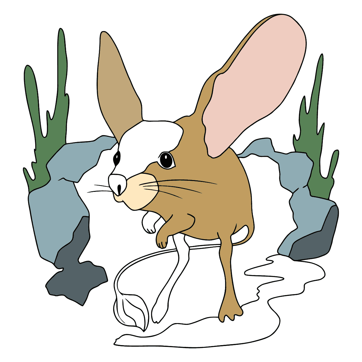 Mewarnai gambar jerboa - Online dan Cetak Gratis untuk anak-anak!