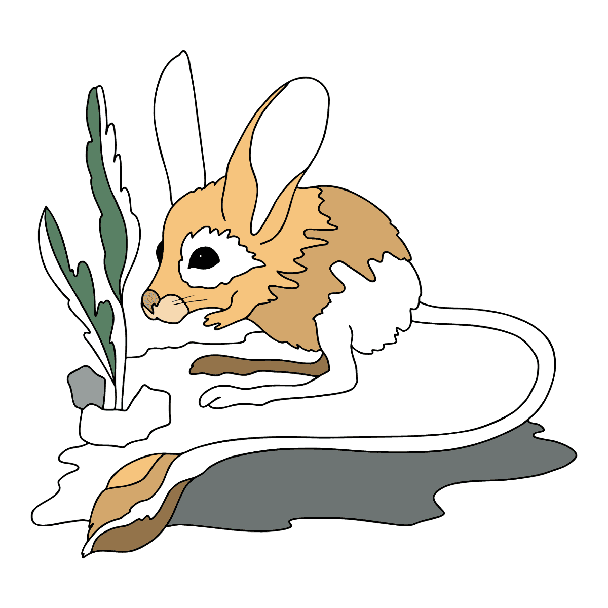 Coloring Page Printable fo free - A Jerboa is Looking Scared