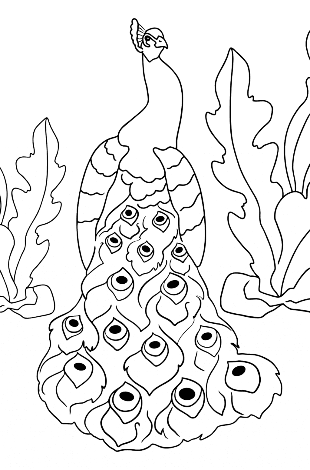 Mewarnai gambar merak - Online dan Cetak Gratis untuk anak-anak!