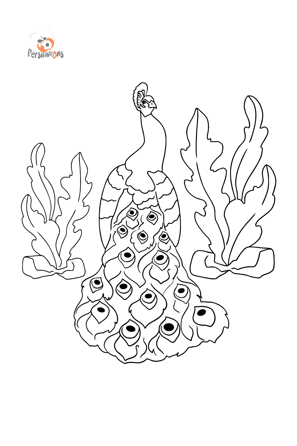 Printable A Pompous and Haughty Peacock Coloring Page