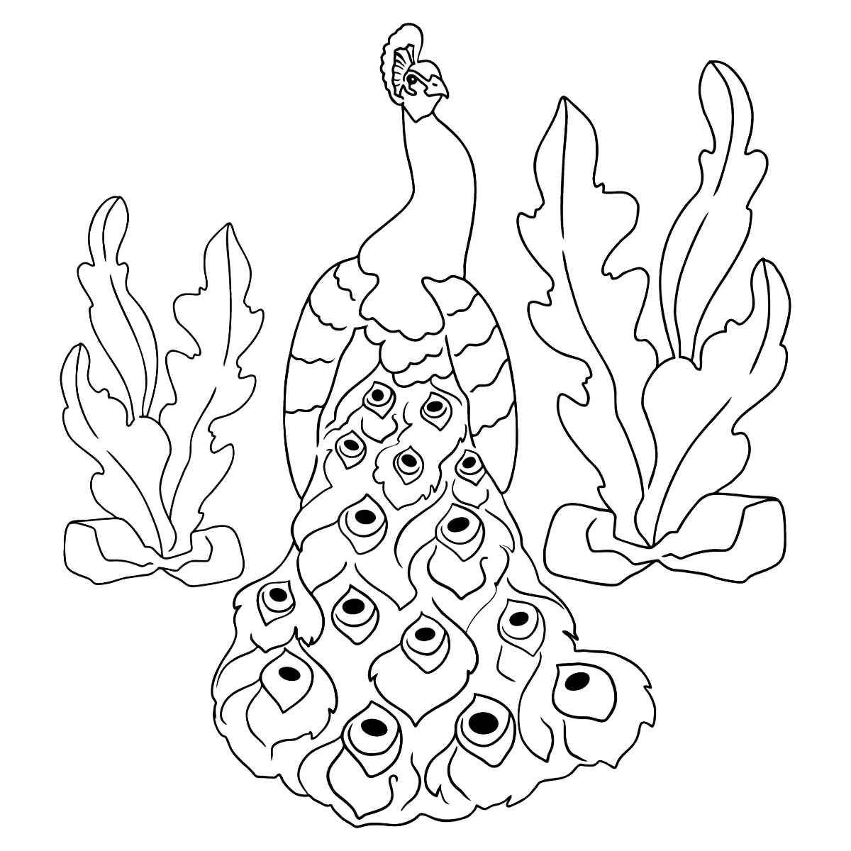 Printable A Pompous and Haughty Peacock Coloring Page