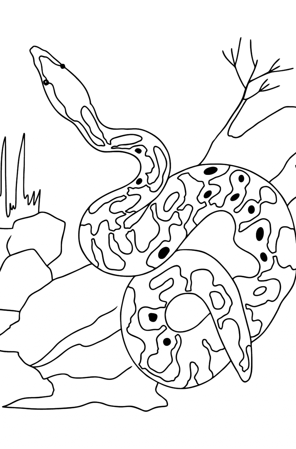 Mewarnai gambar ular - Online dan Cetak Gratis untuk anak-anak!