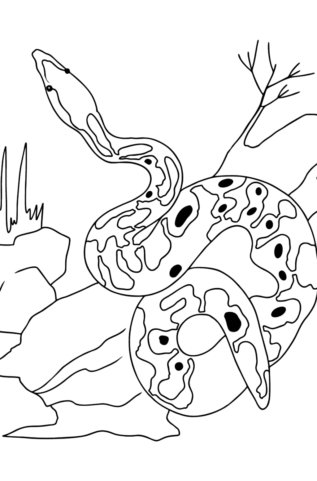 Mewarnai gambar ular (mudah) - Online dan Cetak Gratis!