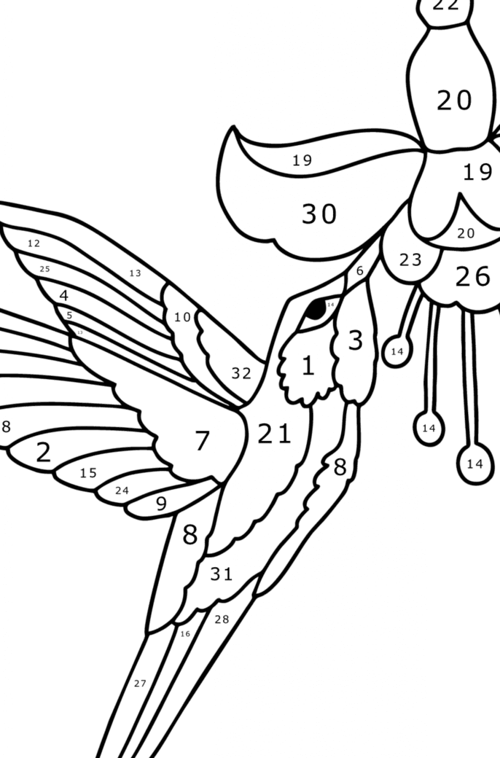 Hummingbird Jungle сoloring page ♥ Online and Print for Free!