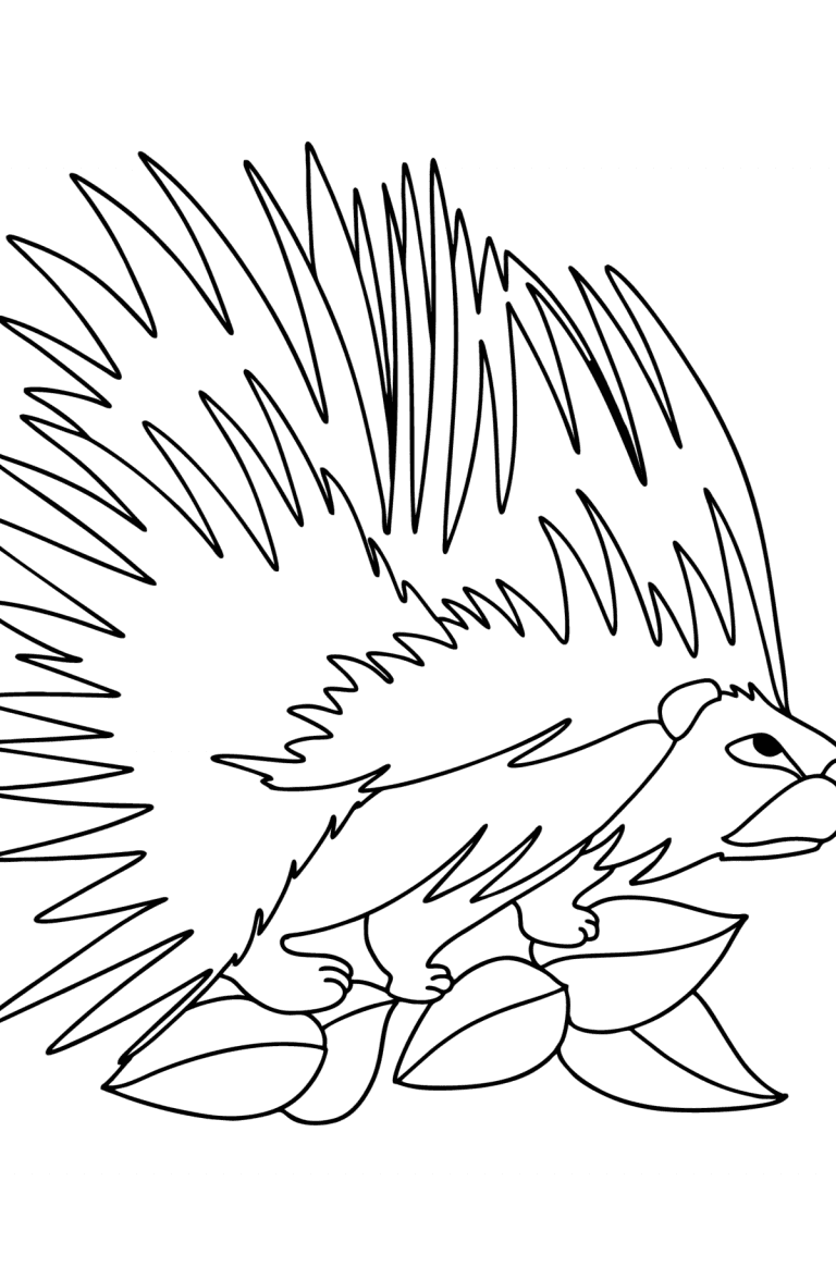 Mewarnai gambar Hutan landak - Online dan Cetak Gratis!