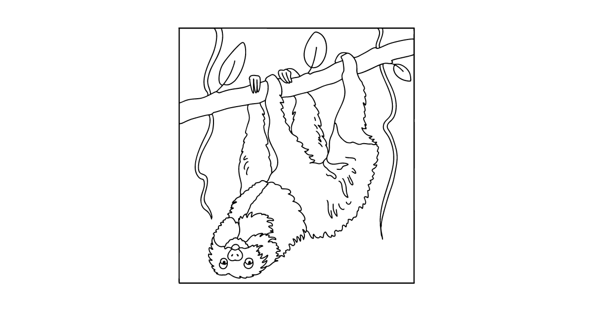 Sloth on a tree сoloring page ♥ Online and Print for Free!