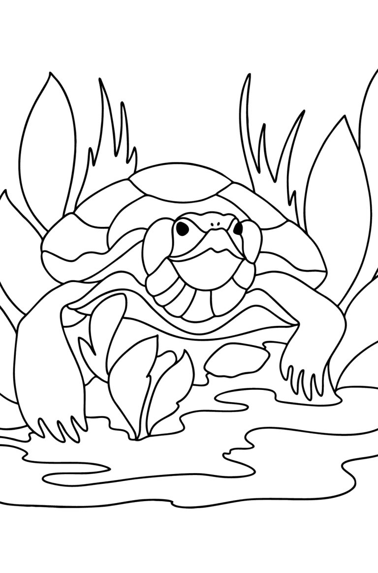 Desen de colorat Broasca testoasa in natura ♥ Online și Imprimați