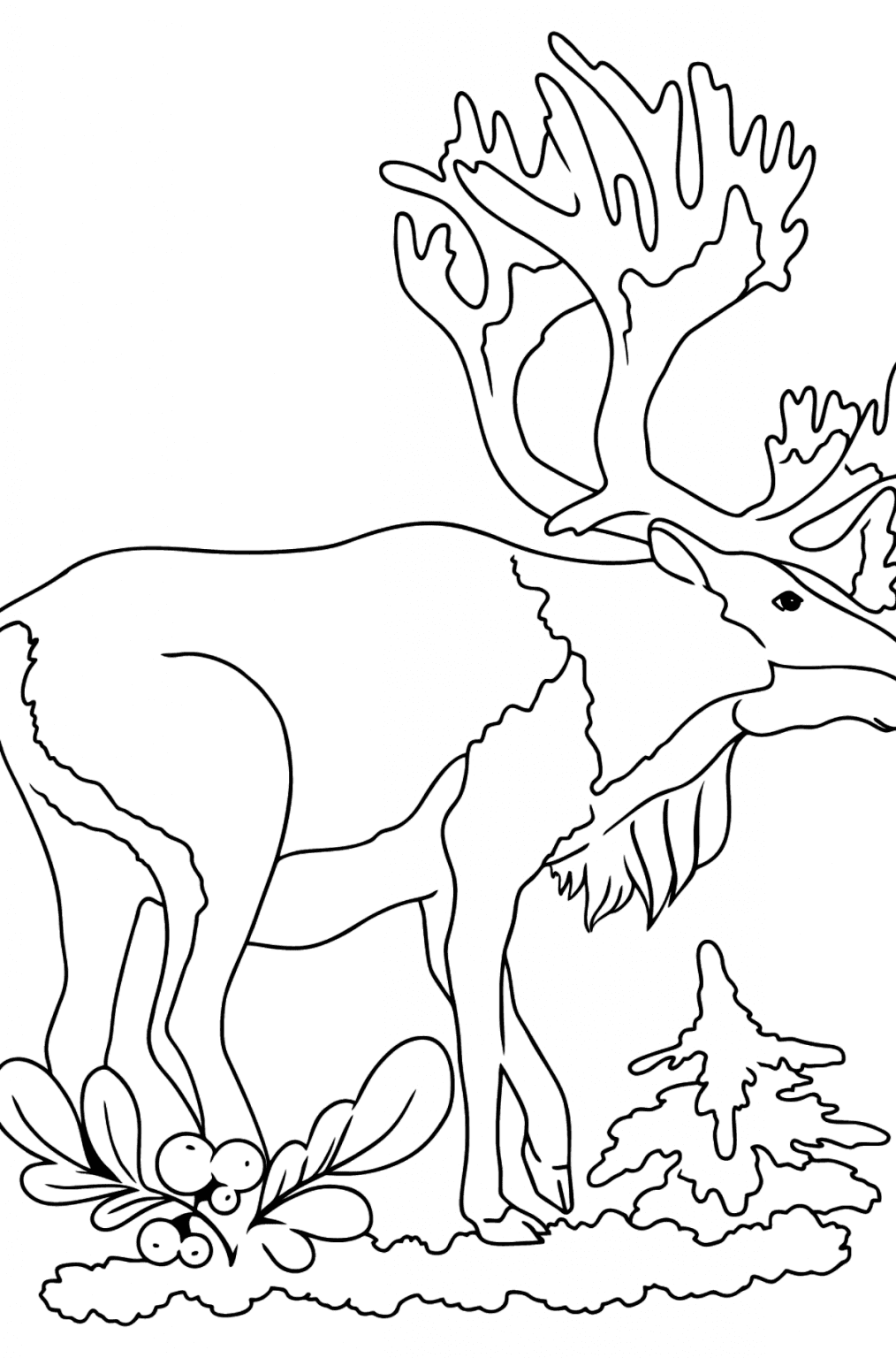 Animals of the North Coloring Pages - Printable for Free & Online!