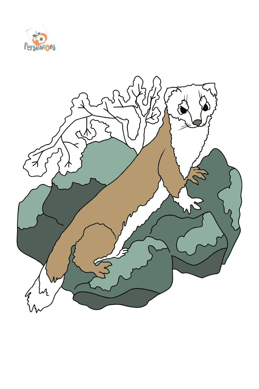 Coloring Page with An Ermine - Print (A4) for free!