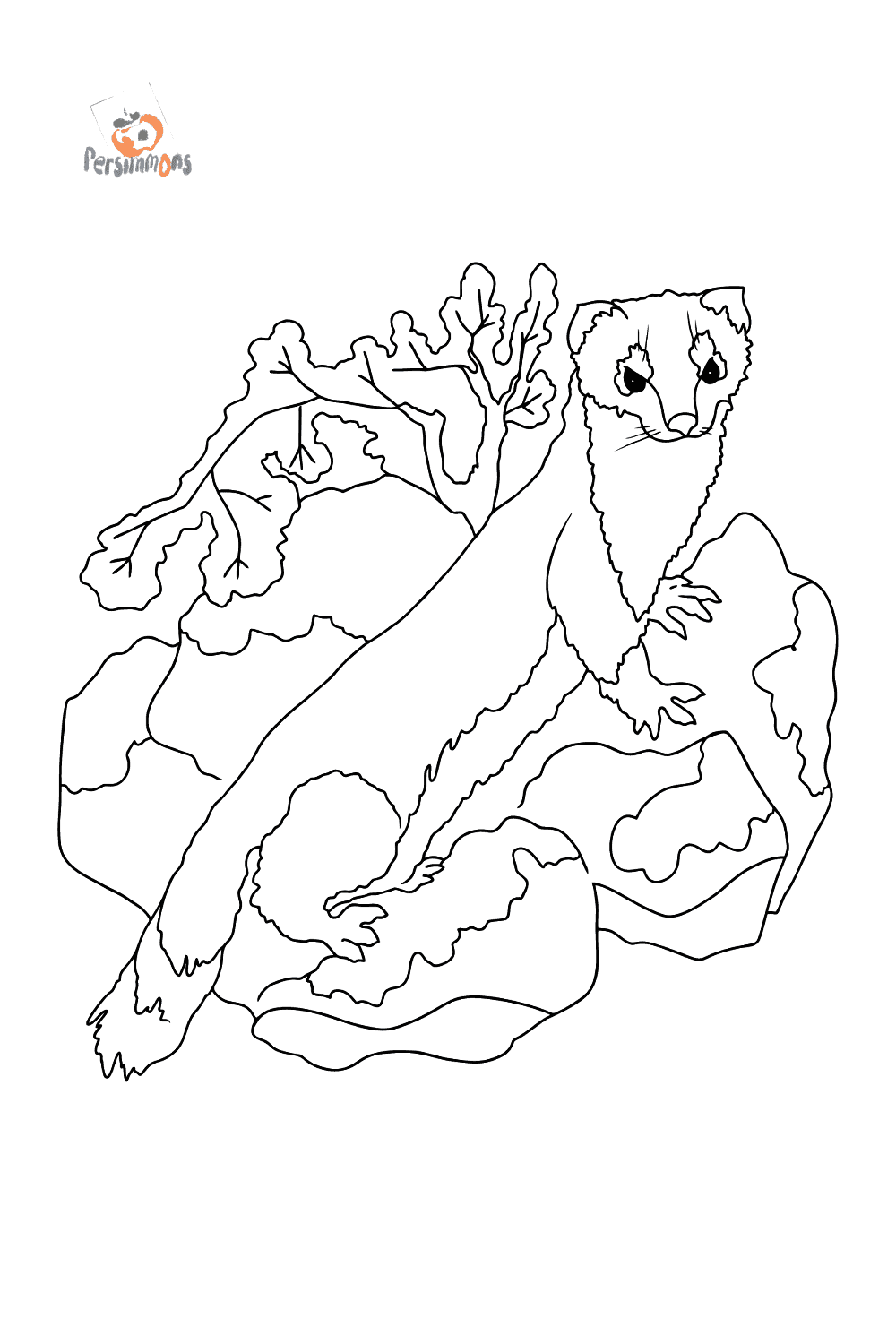 Kleurplaat hermelijn voor kinderen - Online en uitprinten is gratis!