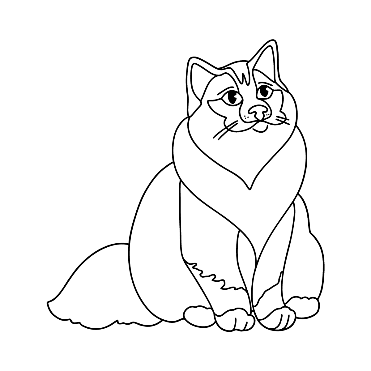 Mewarnai gambar kucing Burma - Online dan Cetak Gratis!