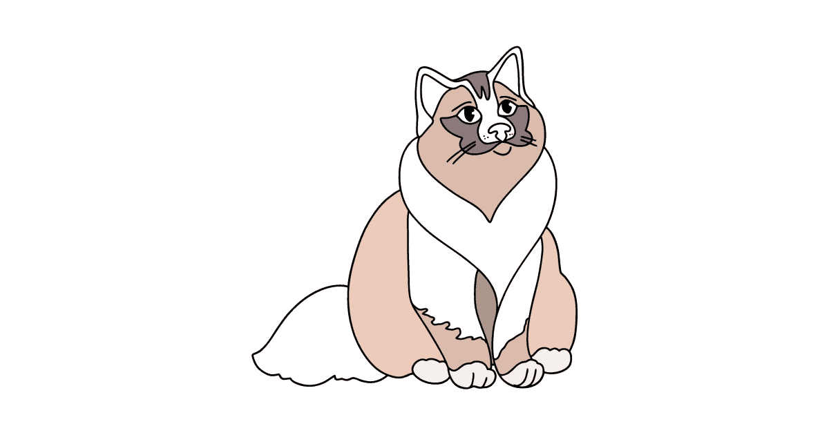 Boyama sayfası Birman kedisi | Coloring-for-Kids.com