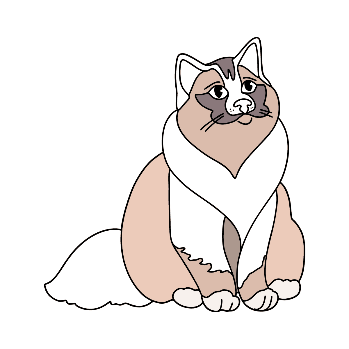 Burmese Cat coloring page ♥ Online and Print for Free!