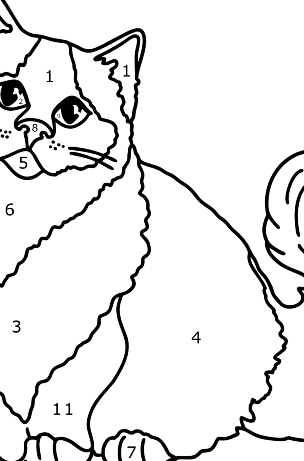 Himalayan Cat coloring page ♥ Online and Print for Free!